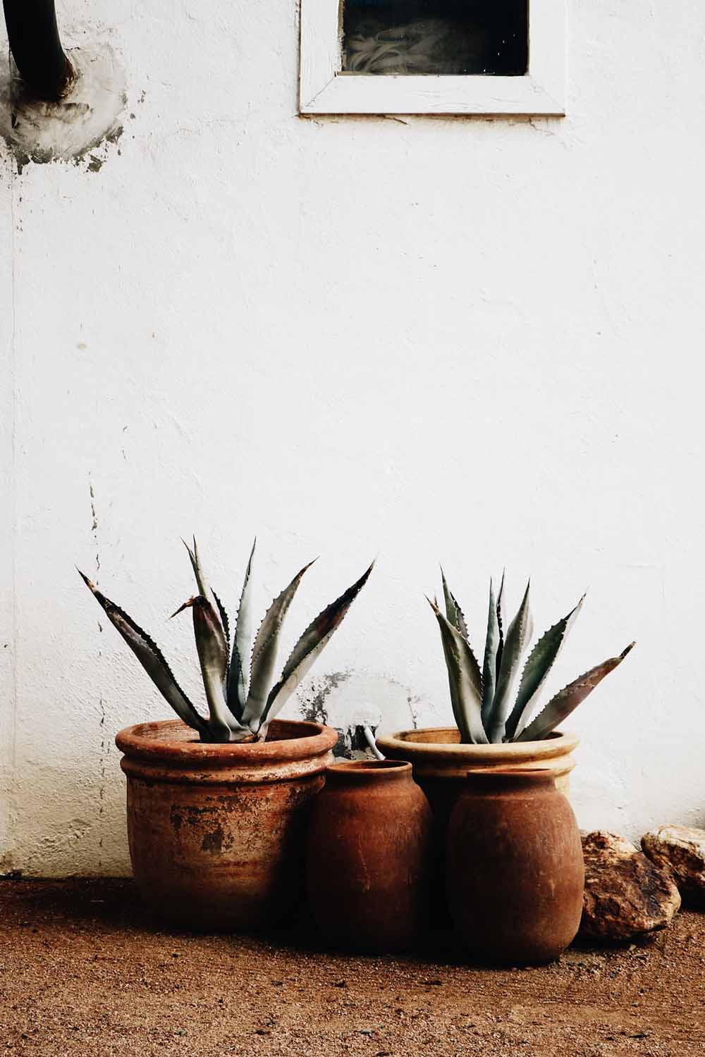 Photo Portfolio – Emma Janzen